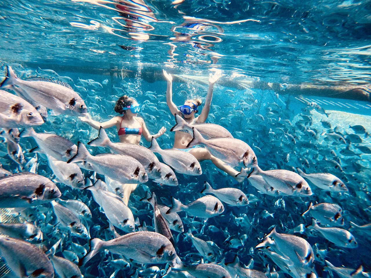 Aquaculture tourism: An unexpected synergy for the blue economy ...