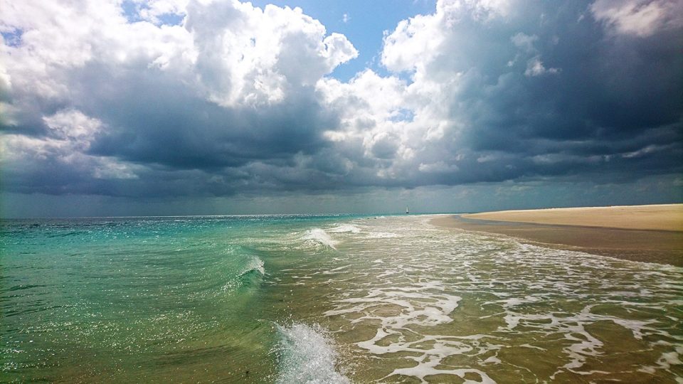 Global trends in climate change detected in indicators of ocean ecology ...