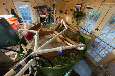 Growing oysters in a garage? Meet the maker of the world's first 3D ...