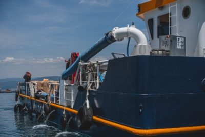 Greek aquaculture company installs humane fish stunner for sea bass ...