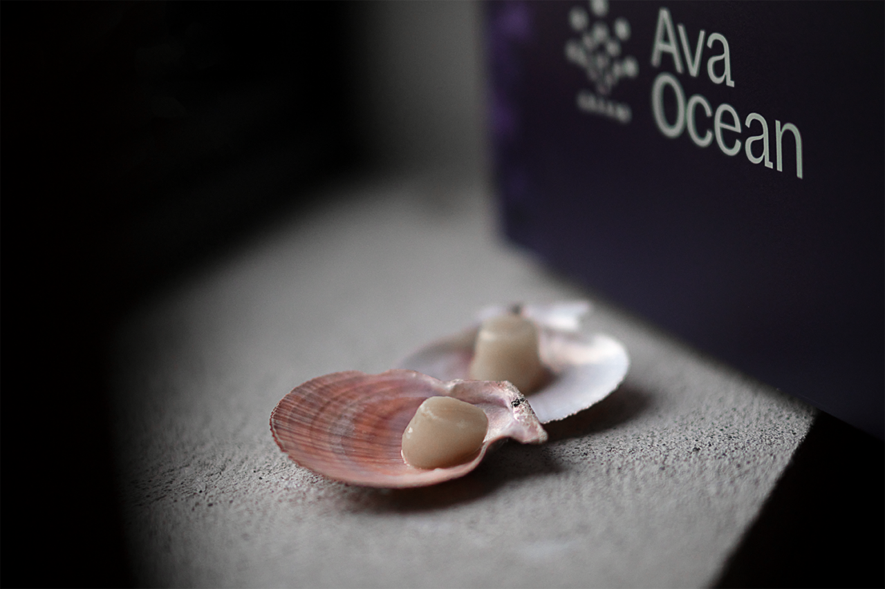Norway banned scallop harvesting in the Barents Sea. Responsible Seafood Innovation Award ...