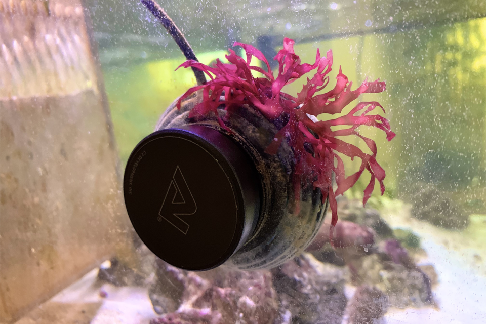 Novel land-based tropical red macroalgae cultivation system is based on ...