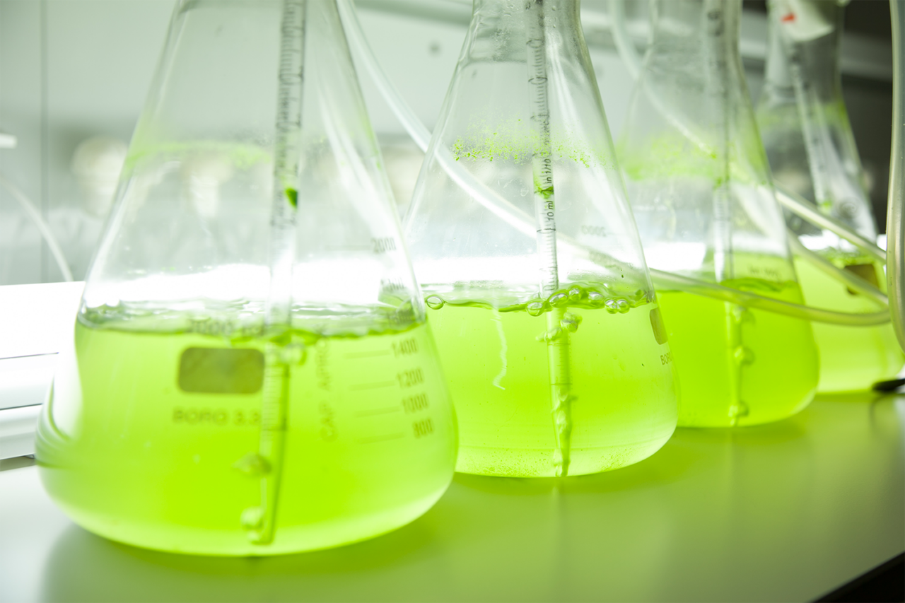 Potential for transforming marine aquaculture from the bottom up for a ...