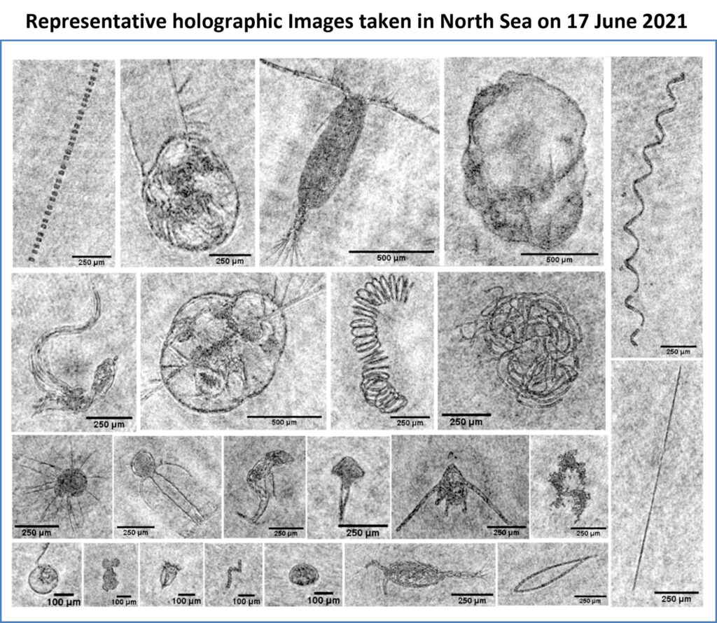 Could holographic cameras and AI technology lead to an early warning ...