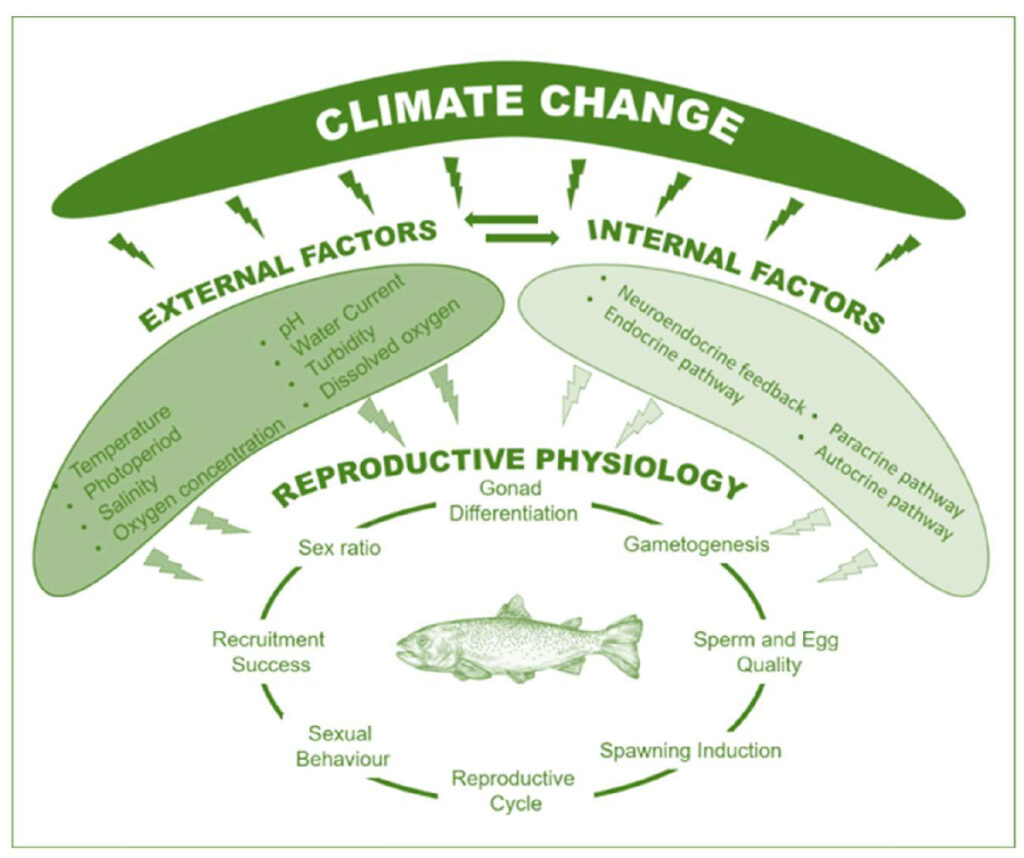 Climate change and reproductive biocomplexity in fishes: Management ...