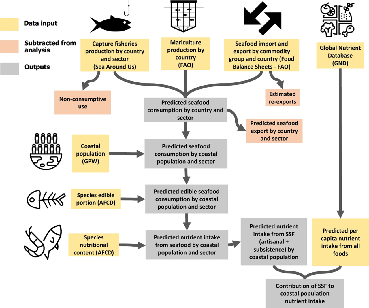 Small-scale marine fisheries and the global nutrient supply ...