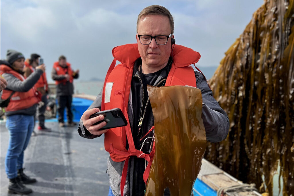 Playing favorites: How selective breeding can grow the seaweed sector ...