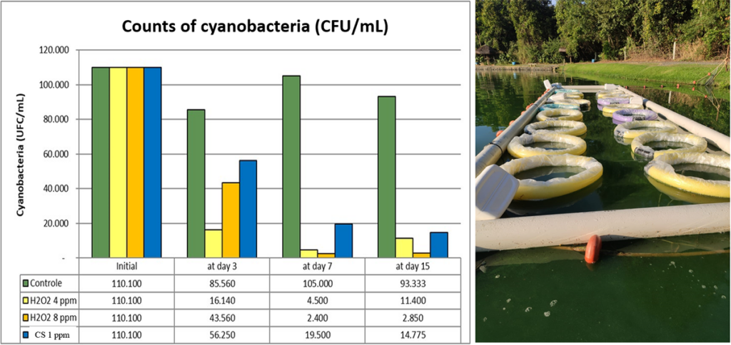 Use of copper sulfate in fish and shrimp ponds - Responsible Seafood ...