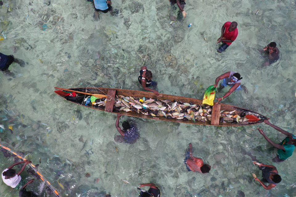 How computer science and artificial intelligence can enhance commercial ...