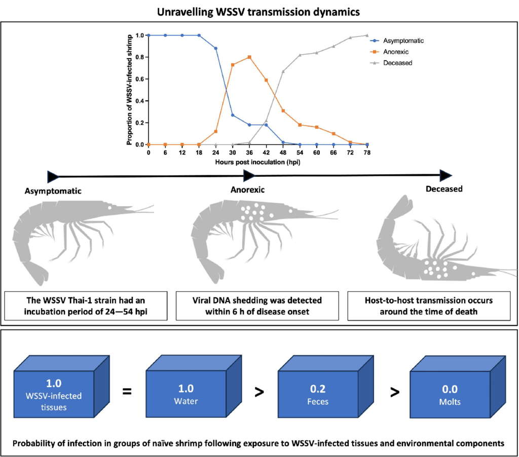 Analyzing transmission dynamics of White Spot Syndrome Virus in Pacific ...