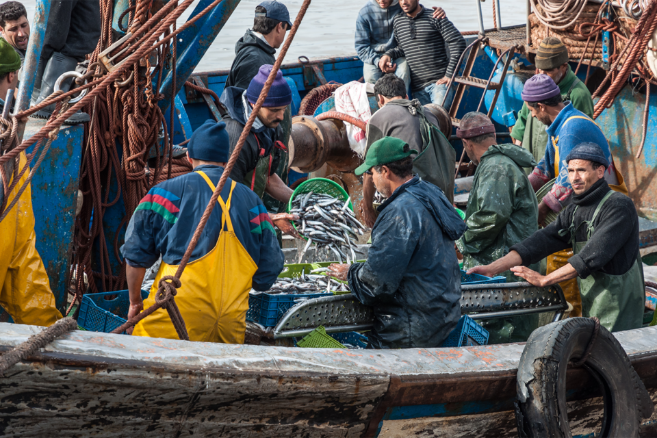 How can the fishing industry address forced labor, with the scope more ...