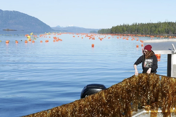 Study: Policies can be designed to support both aquaculture and small ...