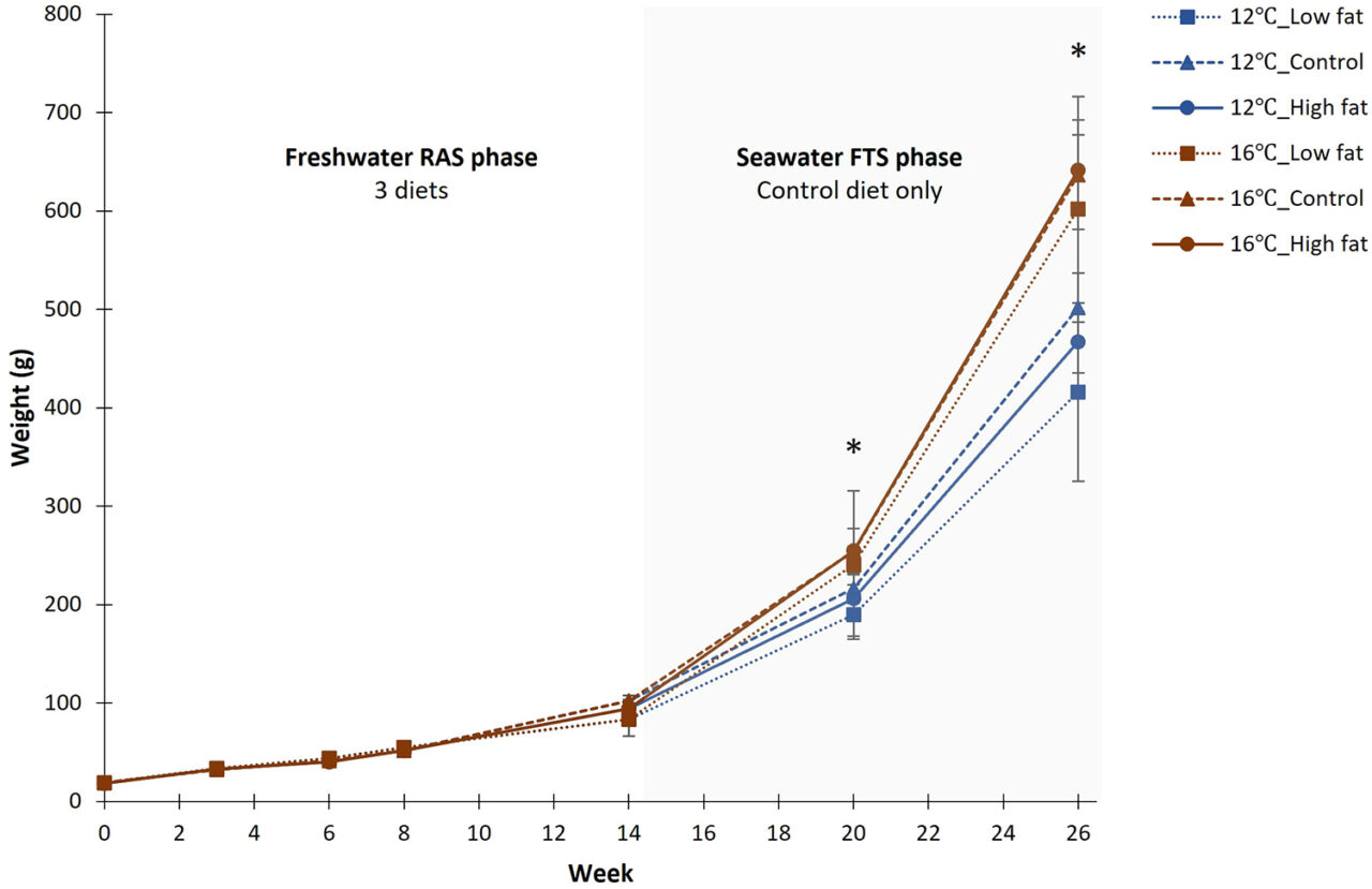 Smoltification, seawater performance and maturation in Atlantic salmon ...