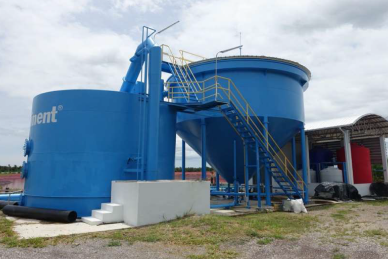 Robins McIntosh on everything you need to know about EHP and shrimp ...