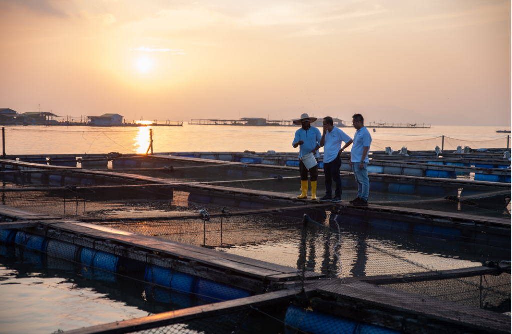 BAP Releases New Version of Logo Use Requirements