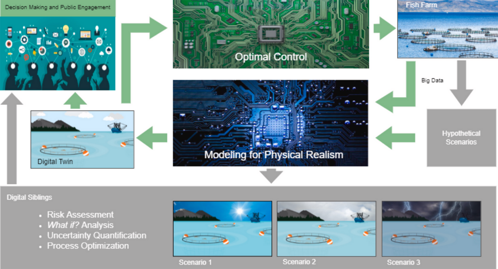 Unlocking the future of fish farming: Study advocates digital twin ...