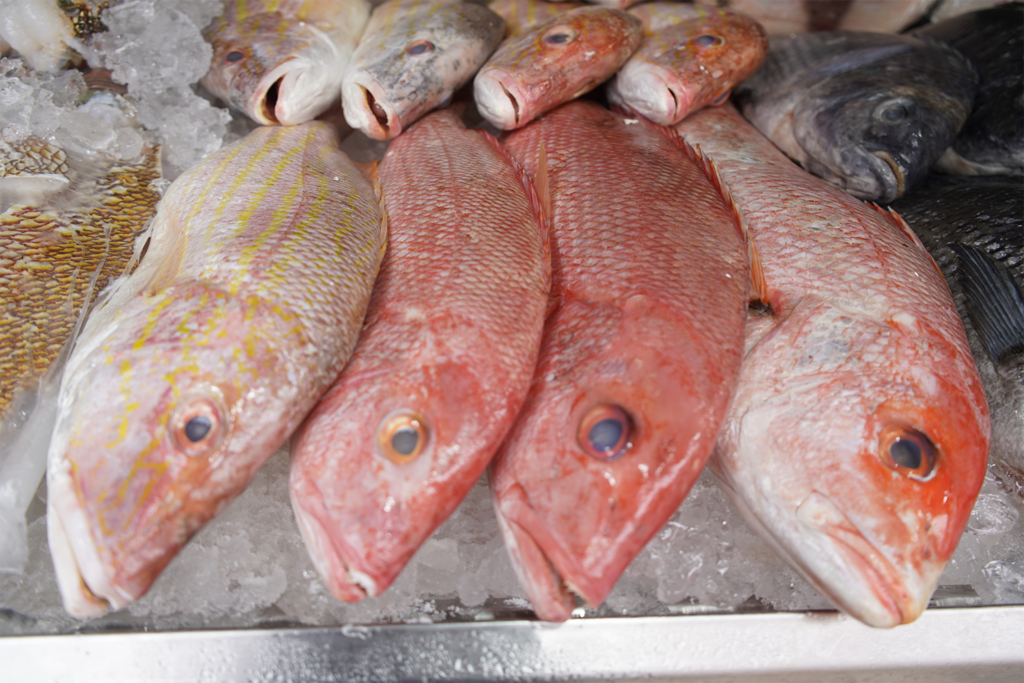 Spawning patterns and recommendations for improved management of ...