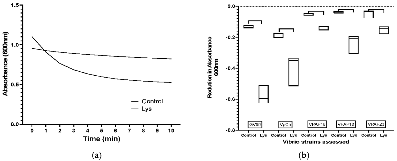 Potential of biological agents in reducing Vibrio bacterial loads in ...