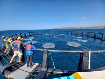 New fish aggregating device aims to reduce marine waste in tropical ...