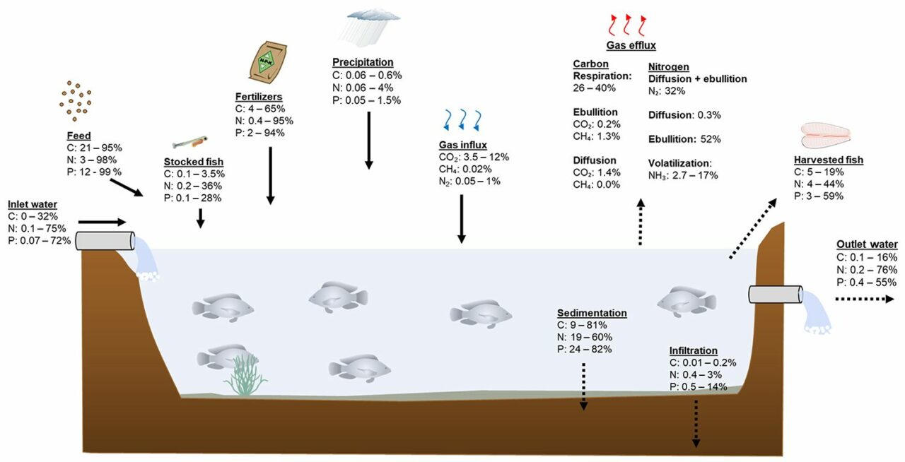 What happens to nutrients in aquaculture systems? - Responsible Seafood ...