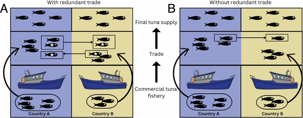 Quantifying global redundant fisheries trade to streamline seafood ...