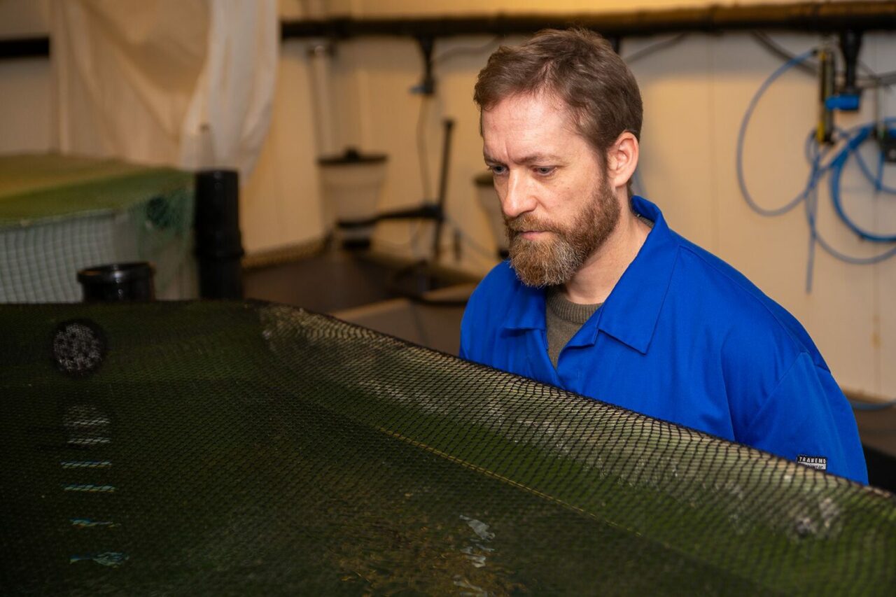 Can an implant help improve animal welfare and health in salmon aquaculture? - Responsible ...