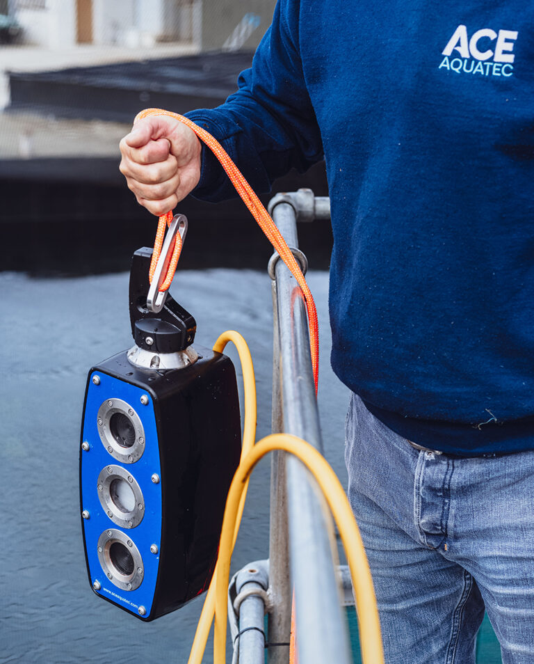 Responsible Aquaculture Innovation Award Finalist: Ace Aquatec’s farmed ...