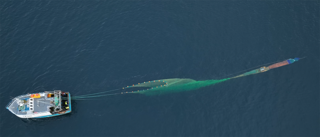 The AI tool that aims to make bottom trawling smarter and prevent ...
