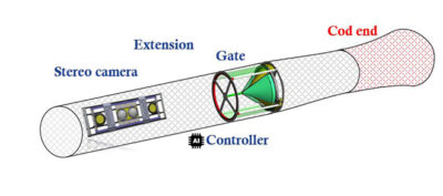 The AI tool that aims to make bottom trawling smarter and prevent ...