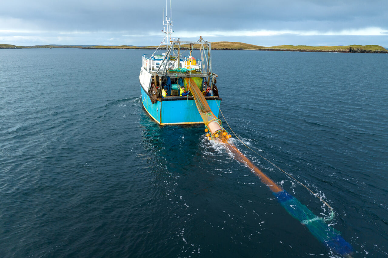 The AI tool that aims to make bottom trawling smarter and prevent ...