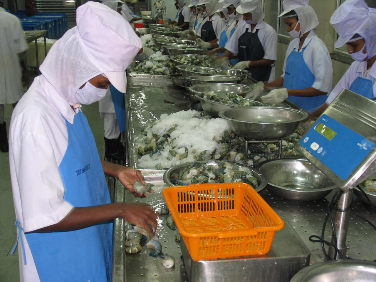 Aquafeed applications of shrimp processing waste - Responsible Seafood ...