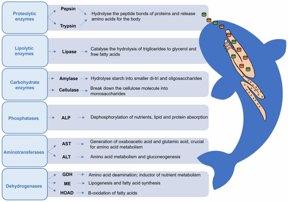 Biomarker applications in fish aquaculture - Responsible Seafood Advocate