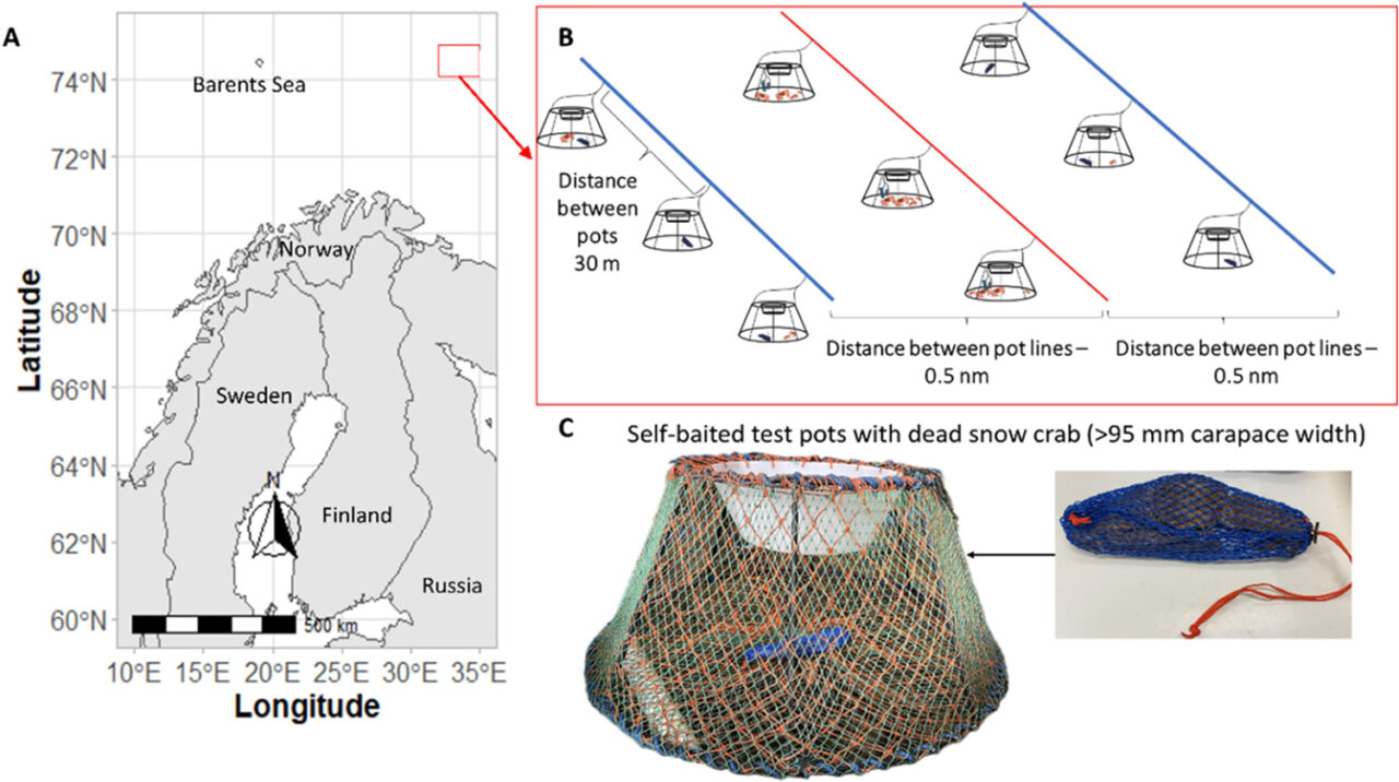 Comparing fishing catch efficiency of self-baited, ghost snow crab pots ...