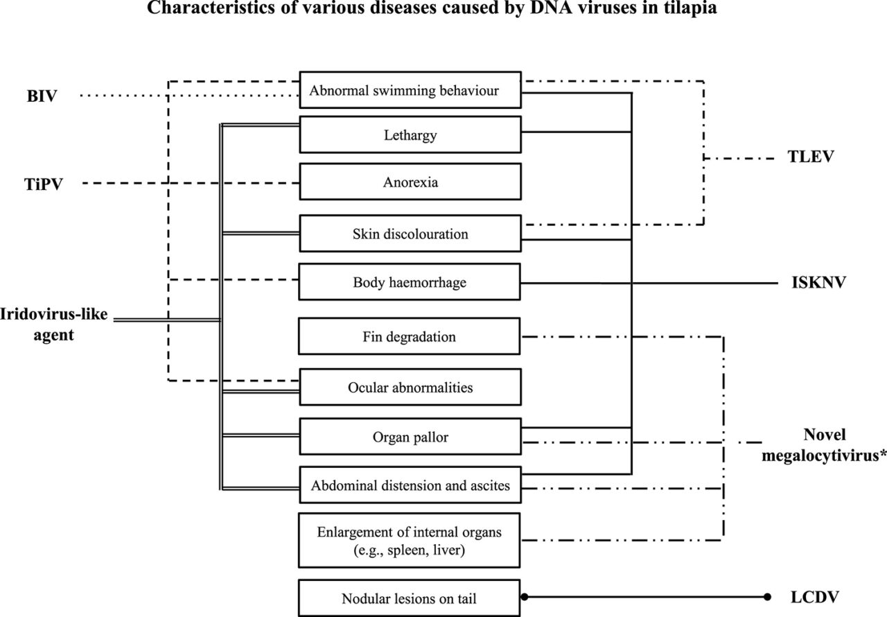 Prevention and control strategies for viral infections in farmed ...