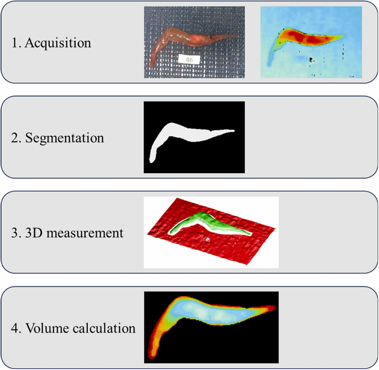 Can automatic measuring replace humans when evaluating a shrimp fishery ...