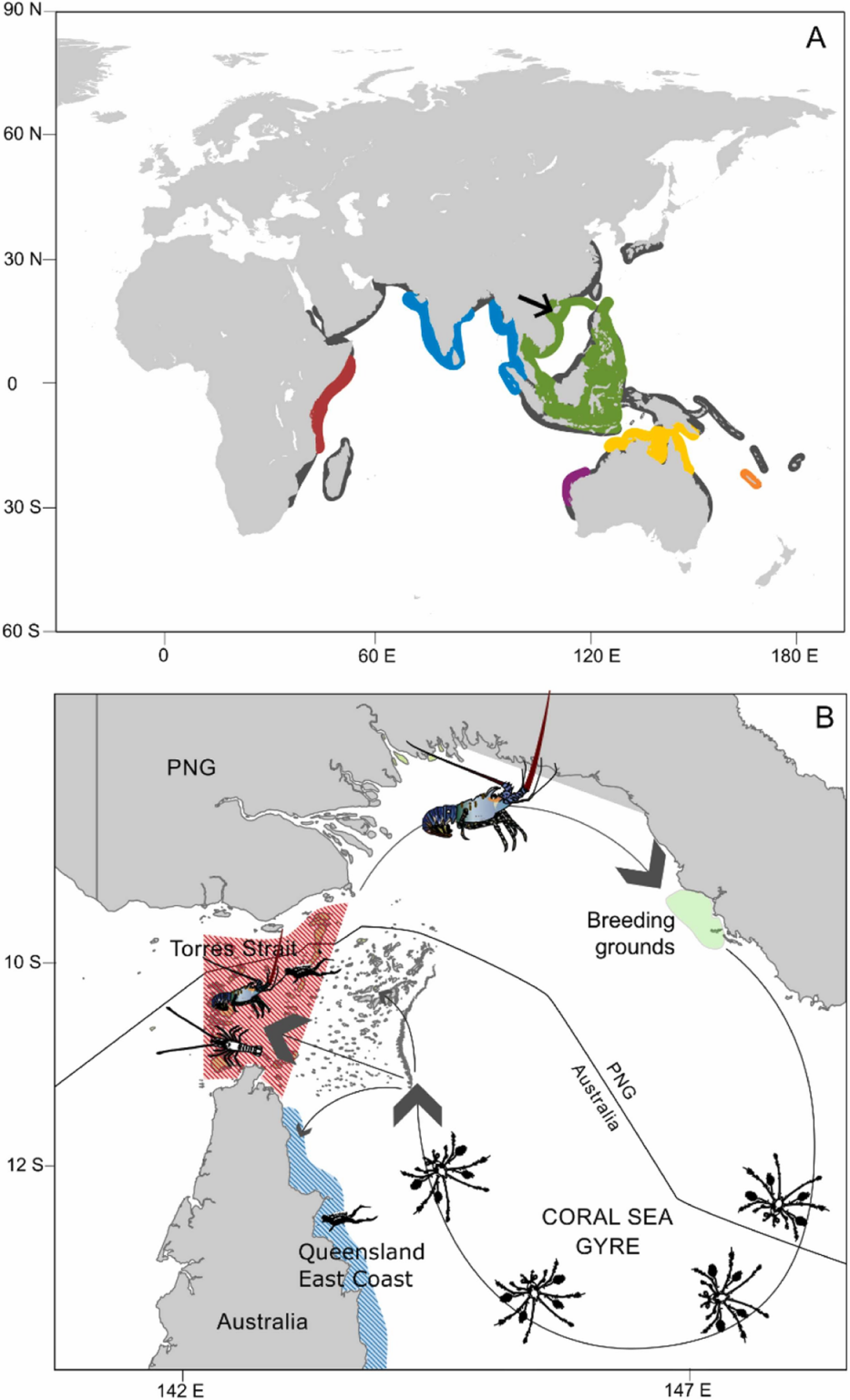 Fisheries genomics key to support conservation, fisheries management ...
