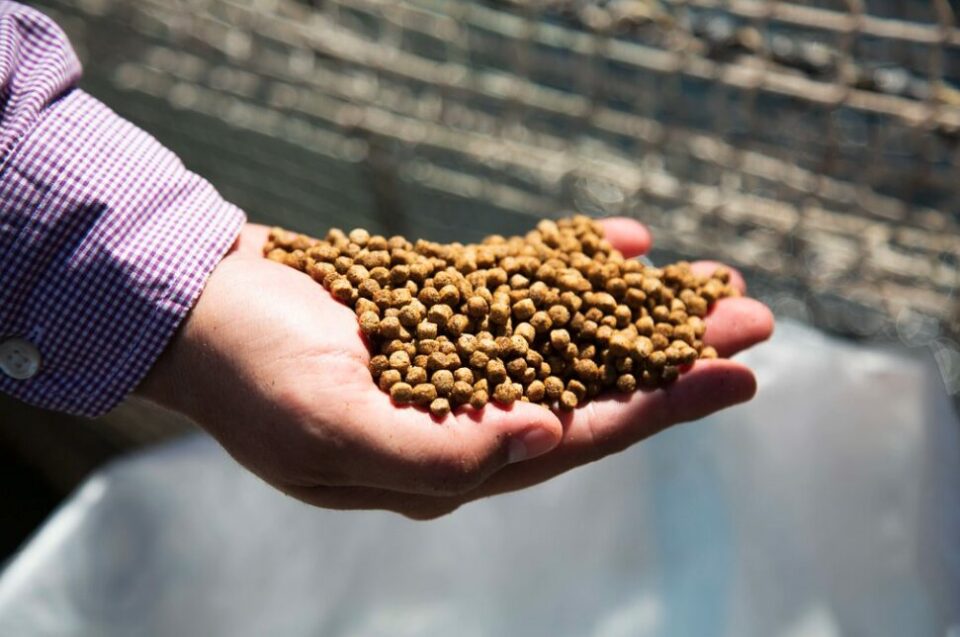From Our Expert Network: The Future of the BAP Feed Mill Standard ...