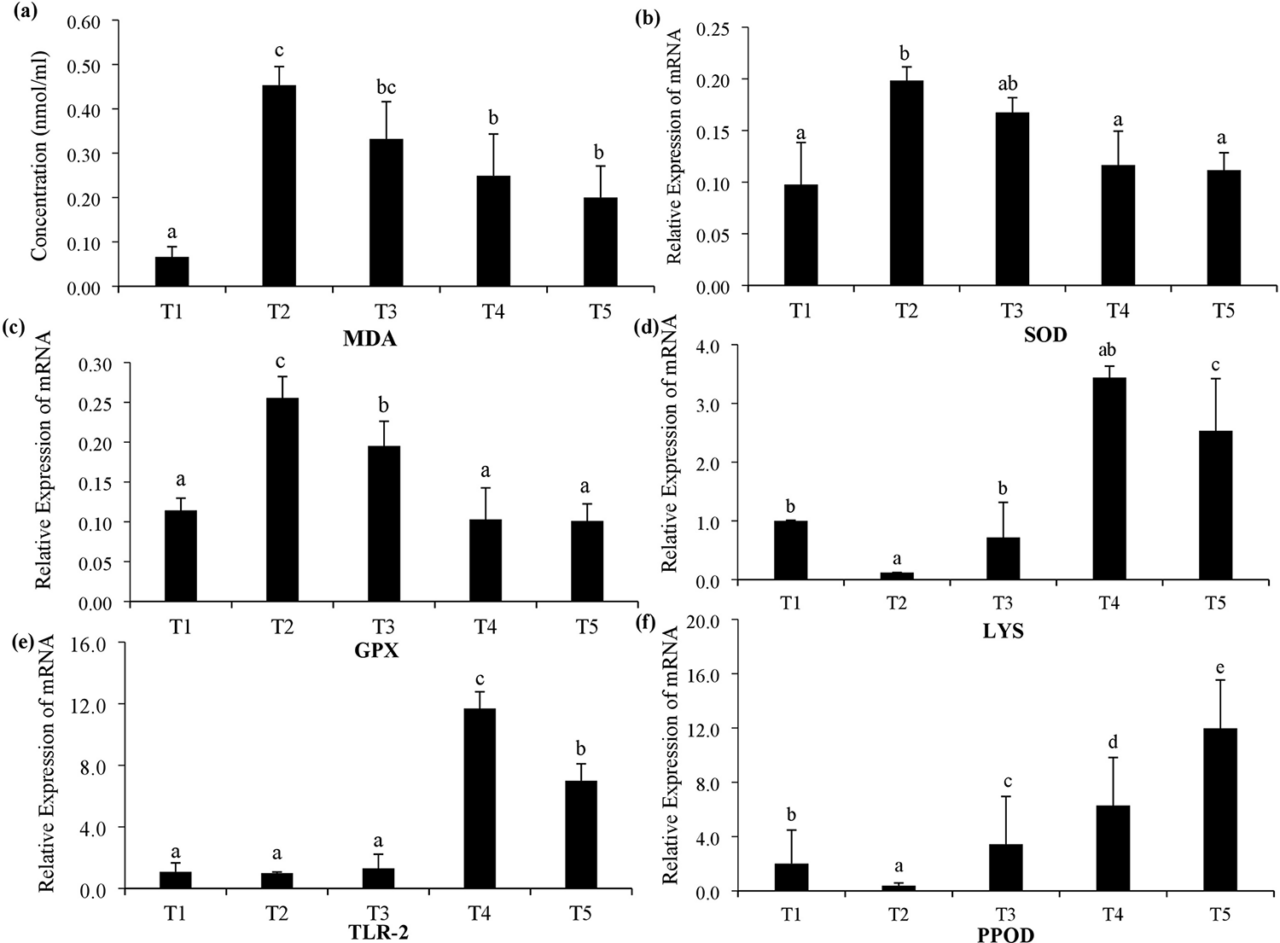 Effective antioxidant and antimicrobial feed additives for juvenile ...