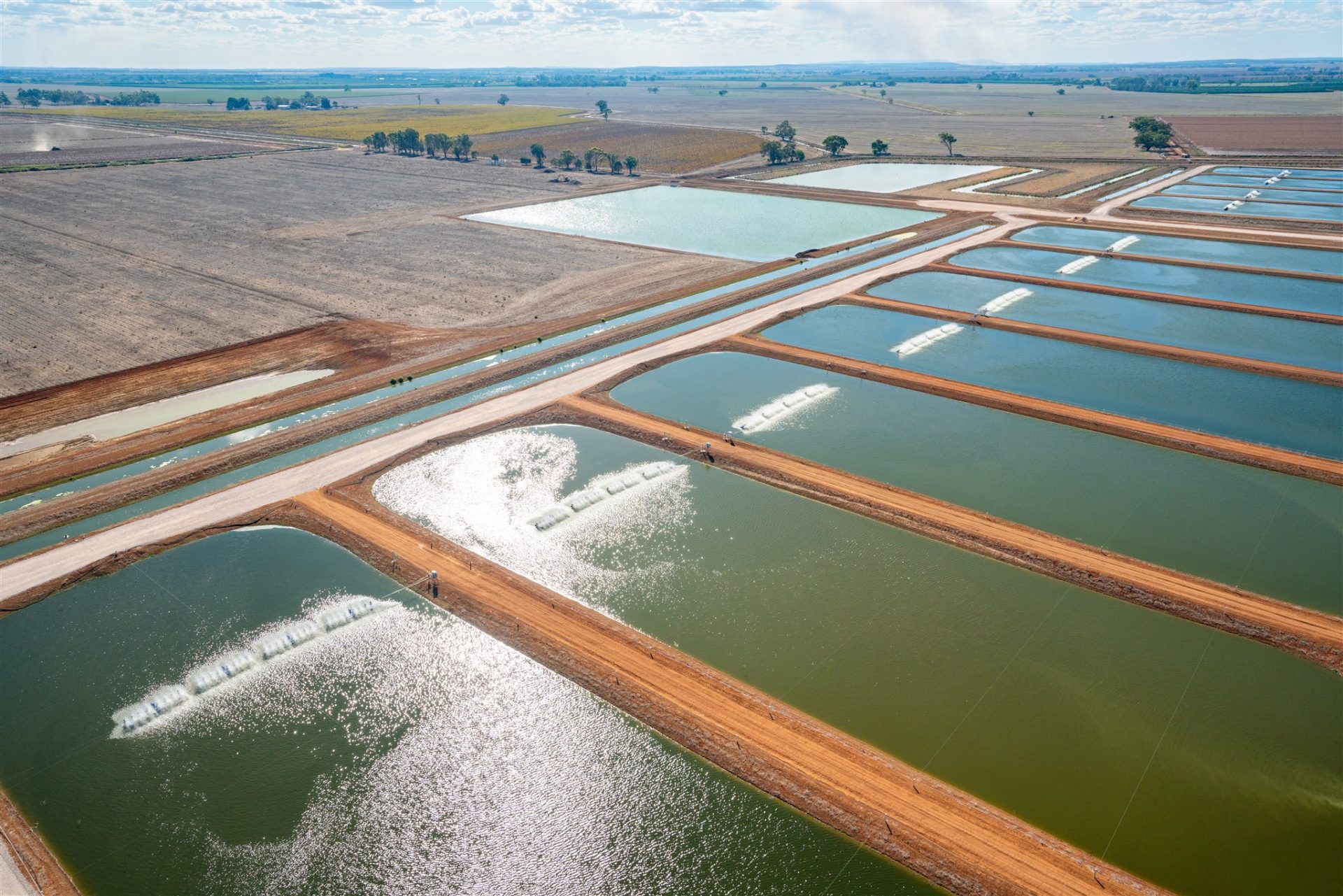 BAP Spotlight Story: Murray Cod Australia - Global Seafood Alliance