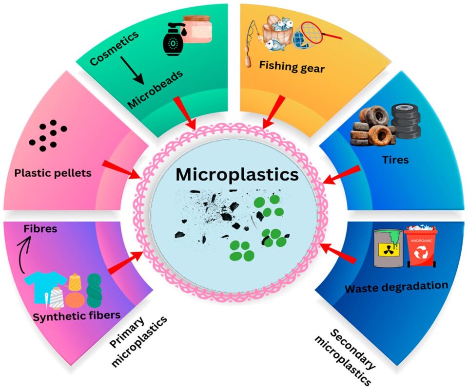 Catch & Culture Review: How microplastics impact the early life stages ...